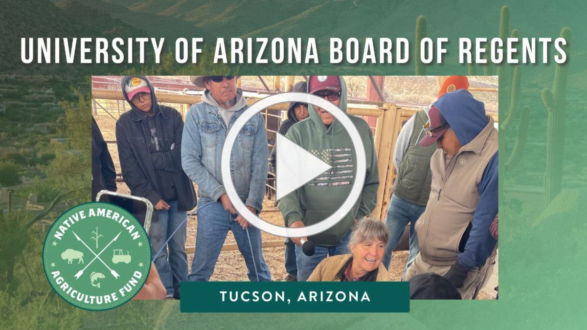 The University of Arizona Bridges Tradition and Innovation in Tribal ...
